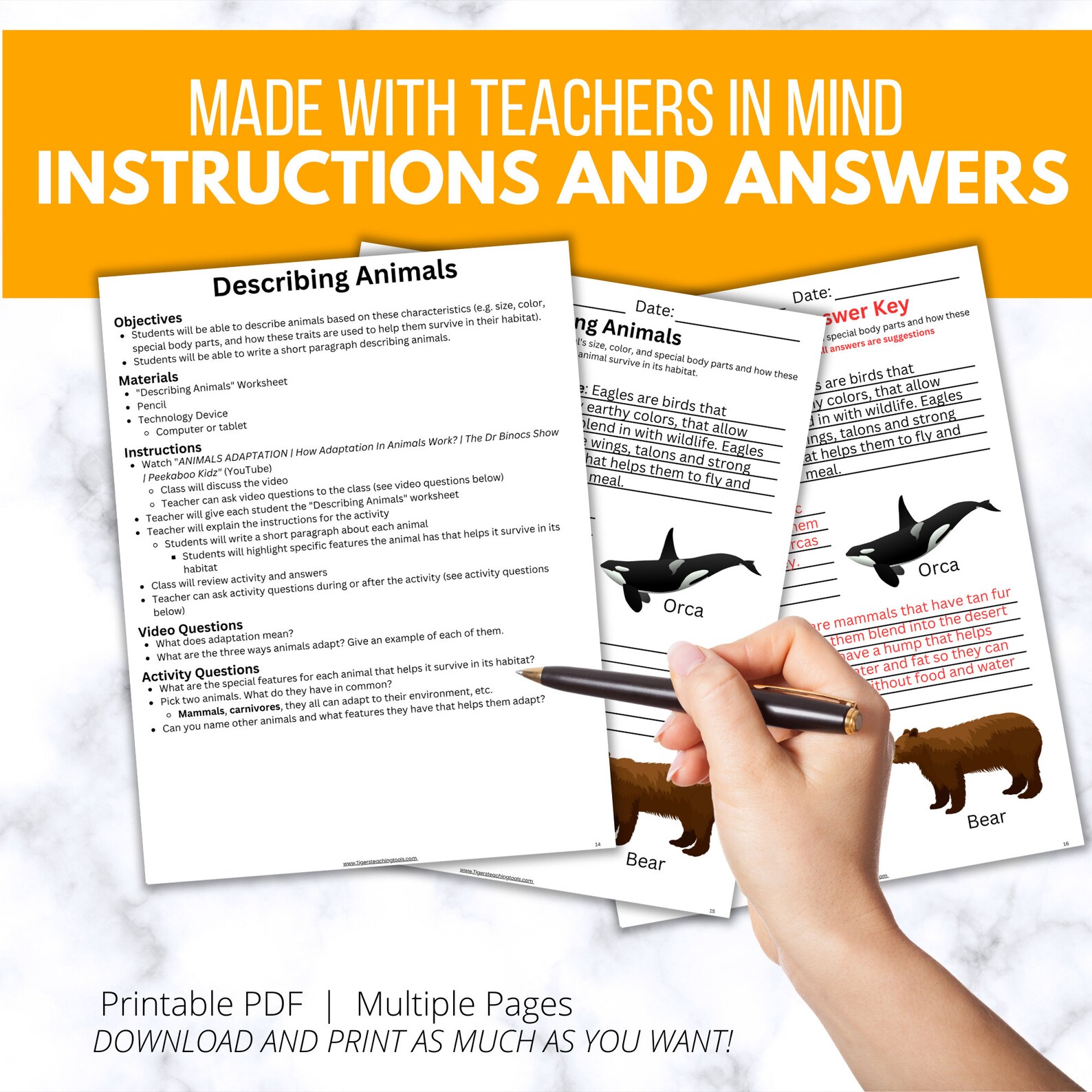 Fourth Grade Animal Needs Worksheets, Life Science, Interactive ...