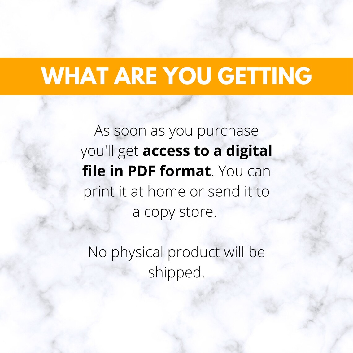 Fourth Grade Life Science Bundle: Interactive Learning for Young ...