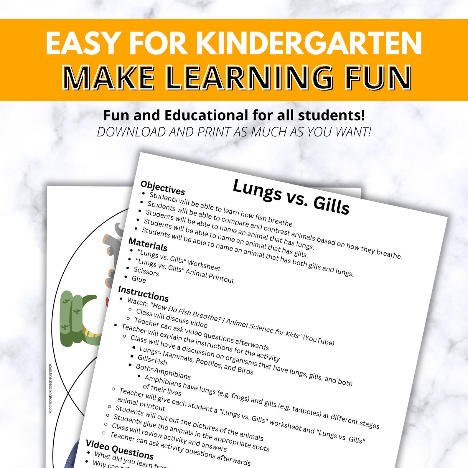 Kindergarten Lungs and Gills Worksheet, Cut and Paste Activity, Venn ...