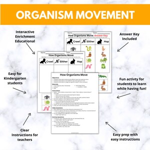 Kindergarten Organism Movement Worksheets: Six Animal Movements ...
