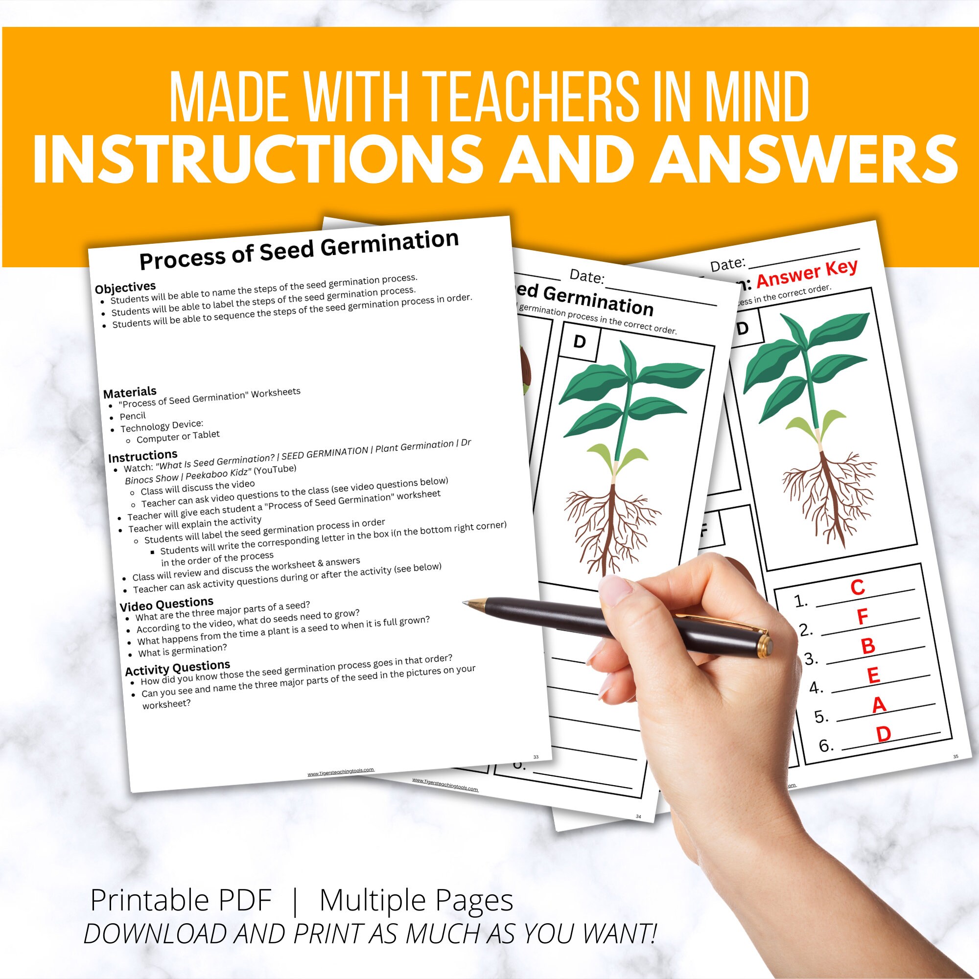 Fourth Grade Life Science Bundle: Interactive Learning for Young ...