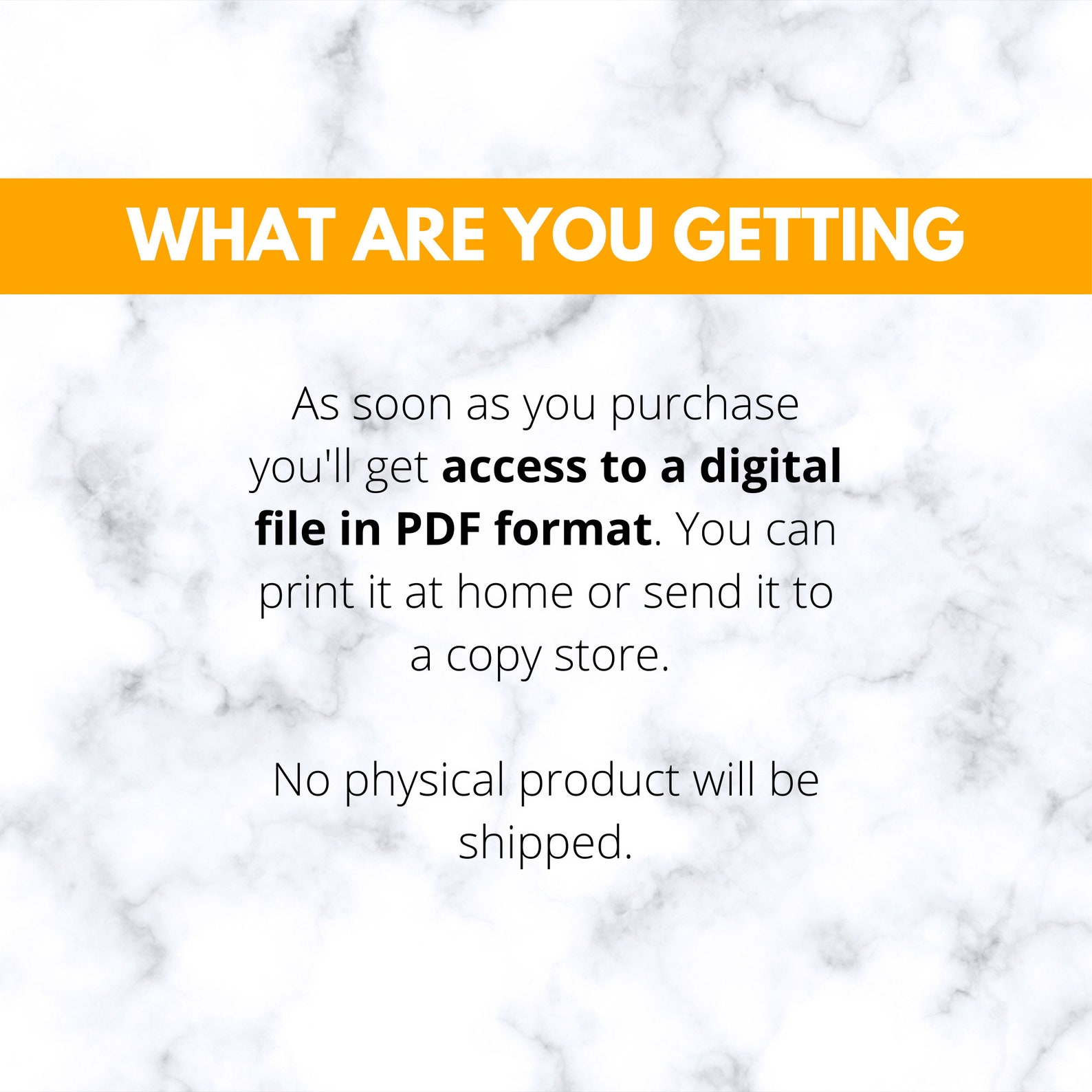 Fourth Grade Animal Needs Worksheets, Life Science, Interactive ...