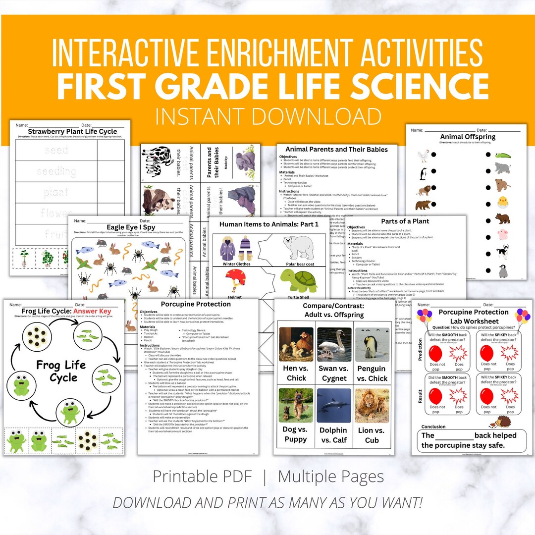 First Grade Life Science Mega Bundle: Interactive Learning for Young ...