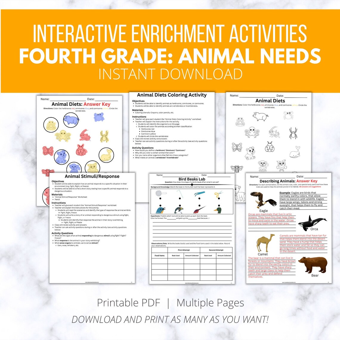 Fourth Grade Animal Needs Worksheets, Life Science, Interactive ...