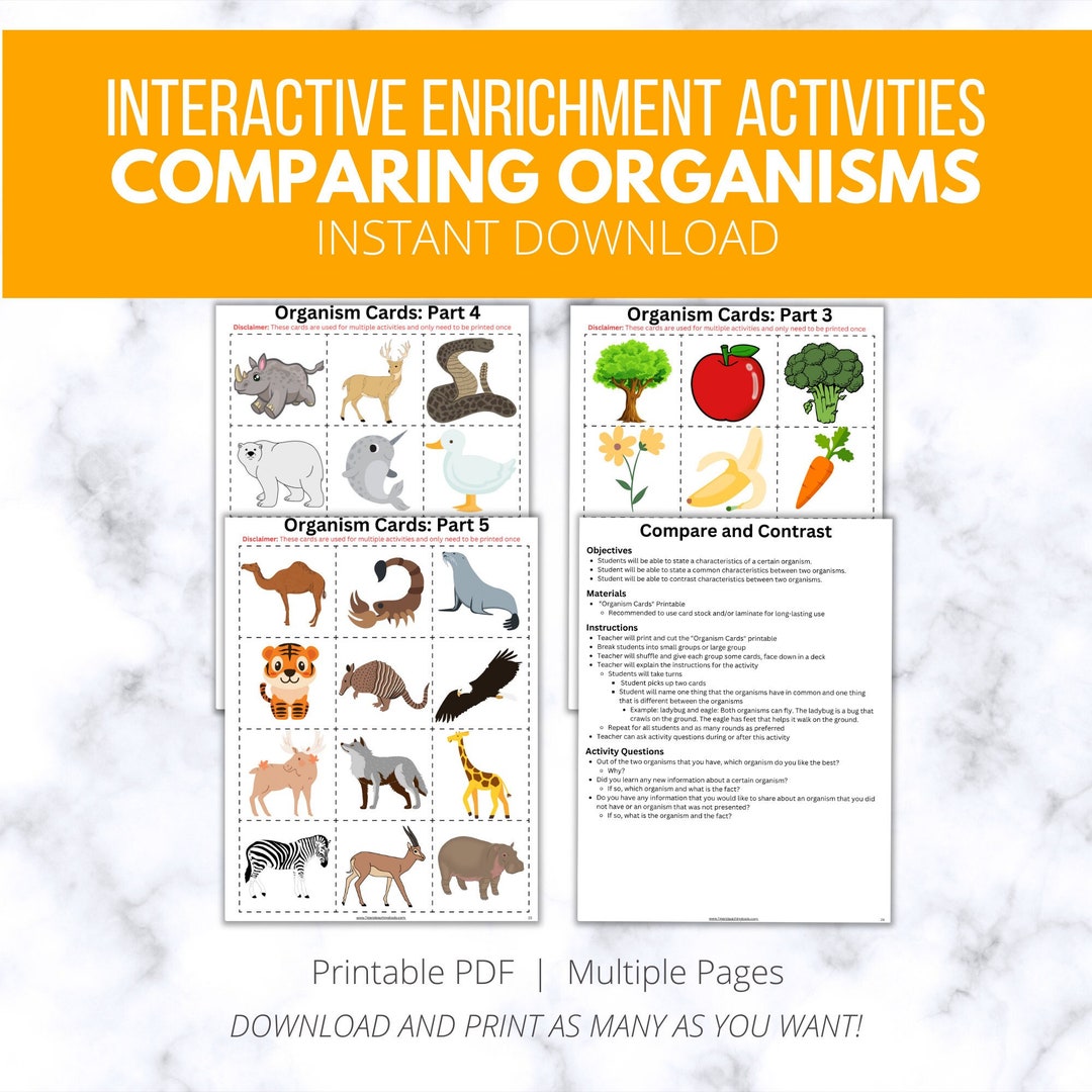 Kindergarten Animal Comparison Game: Interactive Organism Traits ...
