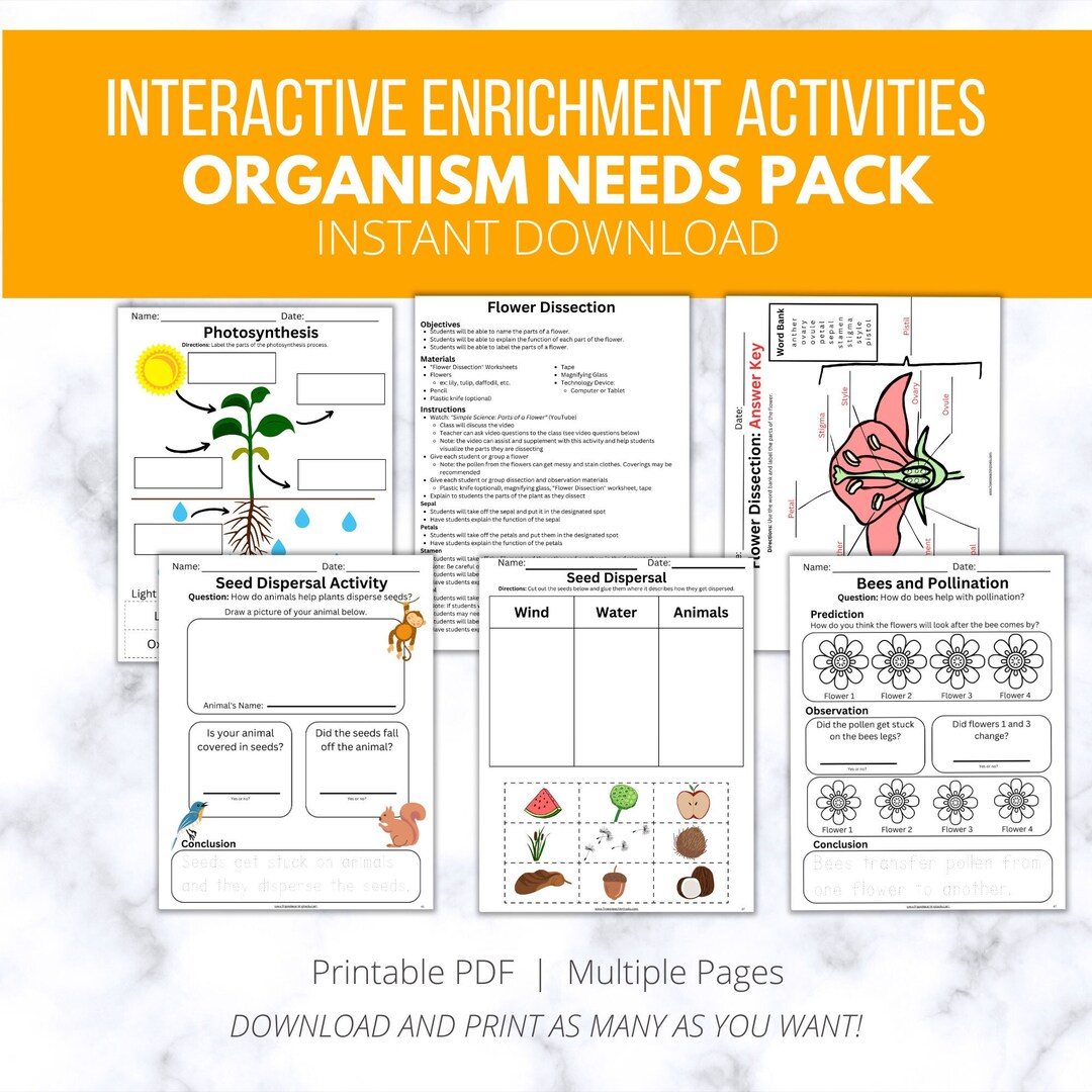 Second Grade Plant Parts and Needs, Life Science: Interactive Learning ...
