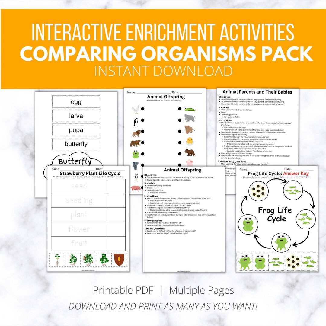 First Grade Comparing Animals: Interactive Learning for Young Explorers ...