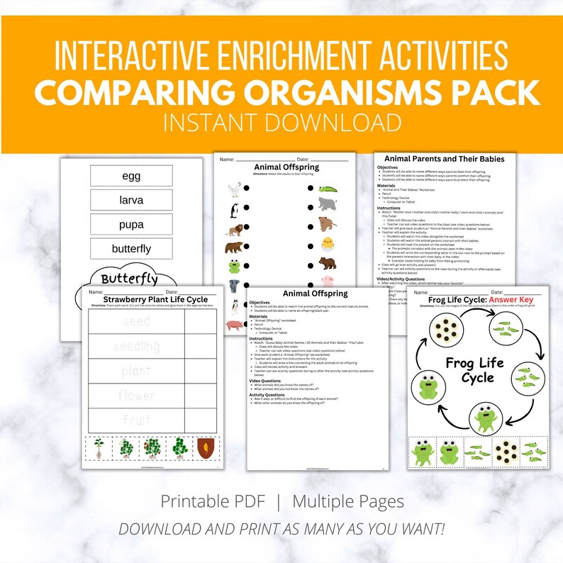 First Grade Comparing Animals: Interactive Learning for Young Explorers ...