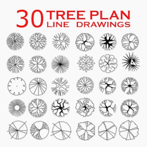 how to draw a tree in plan view