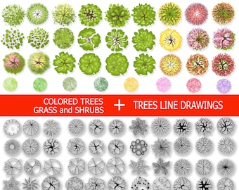 Landscape Tree Plan View, Tree Stamps, Landscape Tree Symbols ...