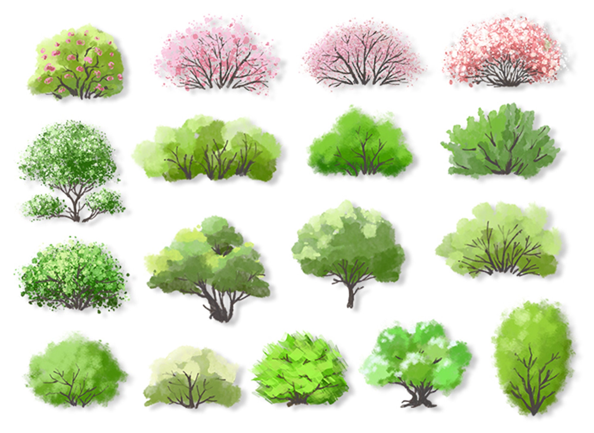 Colorful Bushes Clipart, Shrub Digital Greenery, Custom Bushes ...