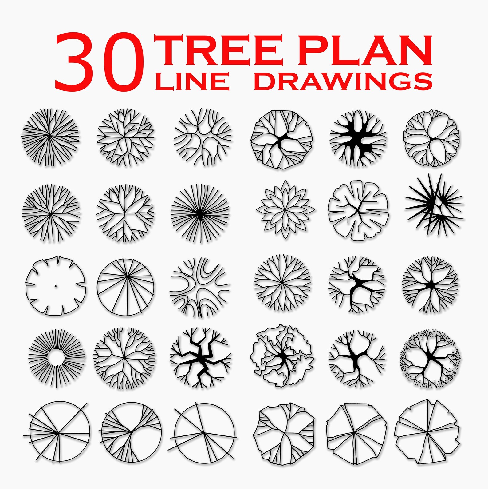 Landscape Tree Plan, Tree Plan PNG, Tree Plan Images, Tree Plan Symbol ...