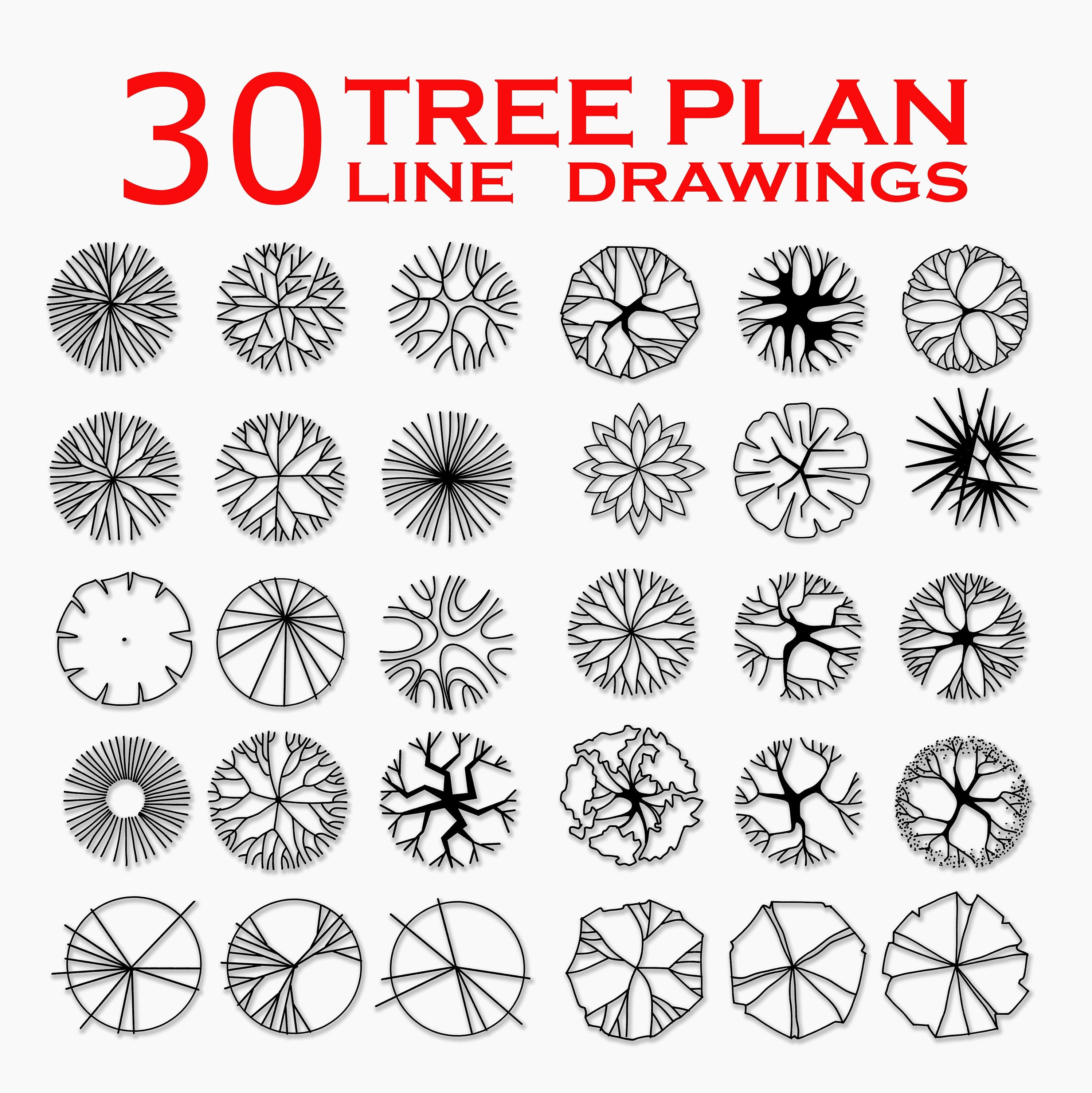 Landscape Tree Plan, Tree Plan PNG, Tree Plan Images, Tree Plan Symbol ...