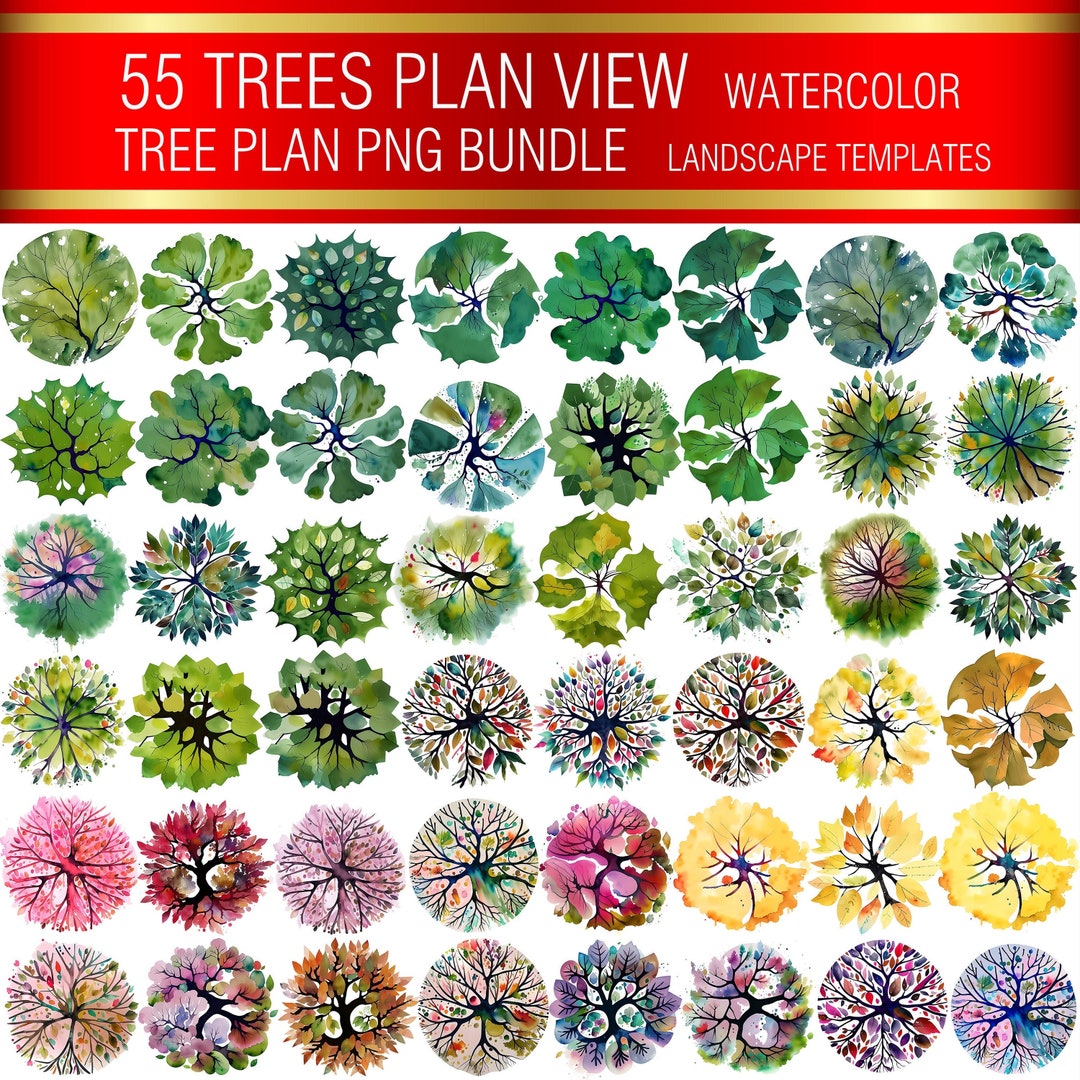 Landscape Tree Plan View Watercolor Illustration PNG Watercolor Tree Stamp Treetop View Images ...