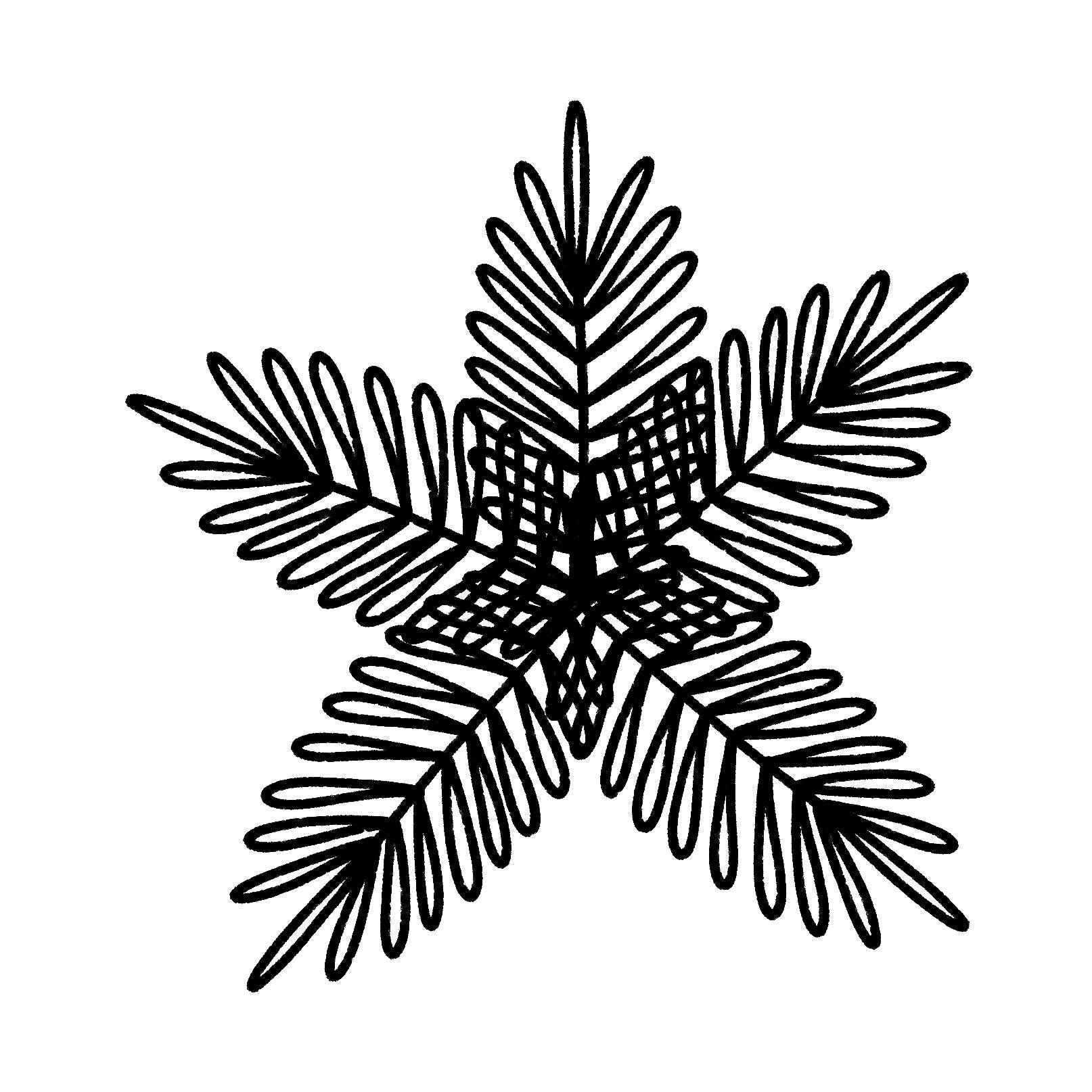 Landscape Tree Plan, Tree Plan PNG, Tree Plan Images, Tree Plan Symbol ...