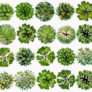 Tree Plan PNG Bundle, Tree Plan Stamps, Tree Plan Symbols, Landscape ...