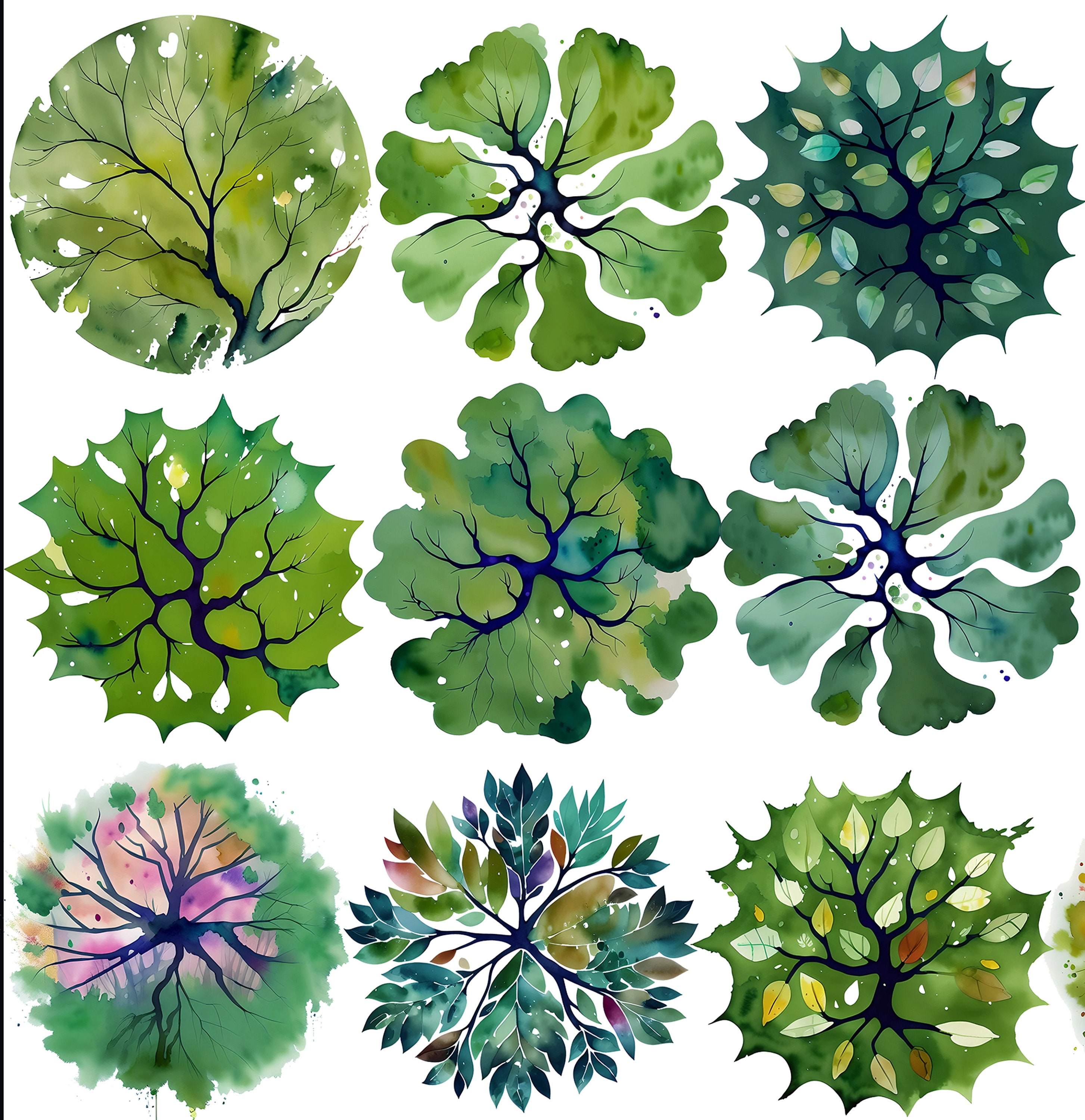 Landscape Tree Plan View Watercolor Illustration PNG Watercolor Tree Stamp Treetop View Images ...