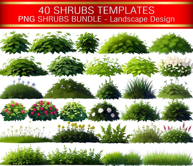 Shrubs Clipart: Landscape Plant Illustrations (PNG Files) - Etsy