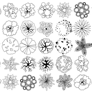 Procreate Tree Brush Pack, Procreate Tree Plan Stamp,tree Brush Set ...