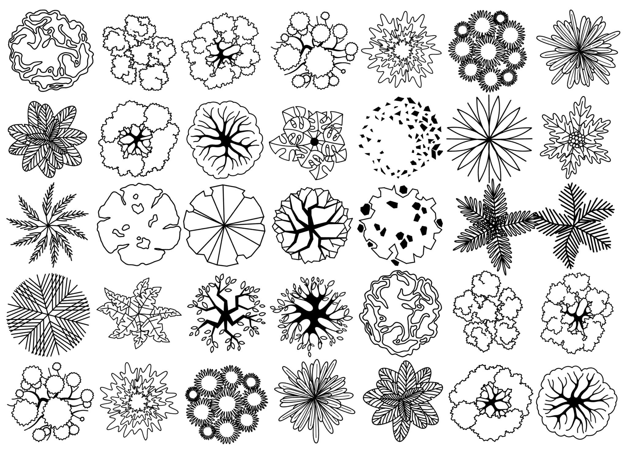 Procreate Tree Brush Pack, Procreate Tree Plan Stamp,tree Brush Set ...