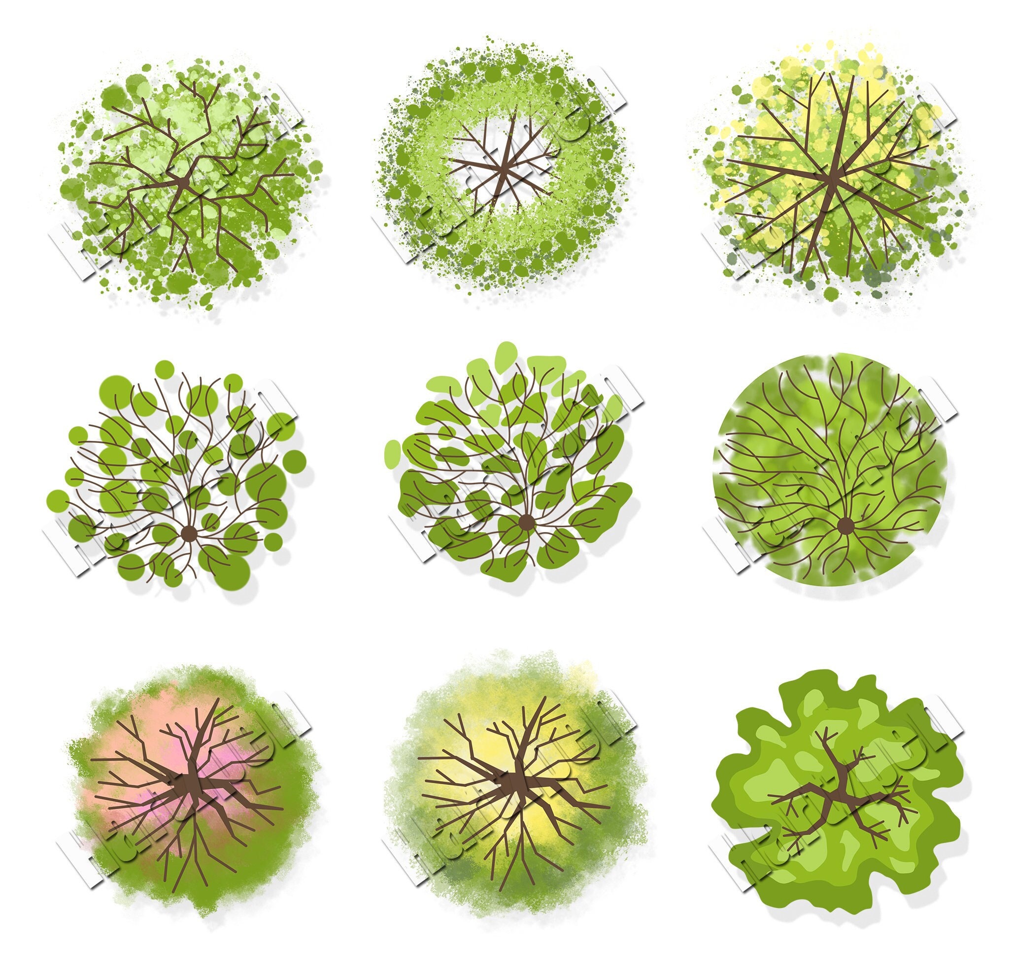 Tree Plan View, PNG, Landscape Tree Plan, Landscape Design Templates ...