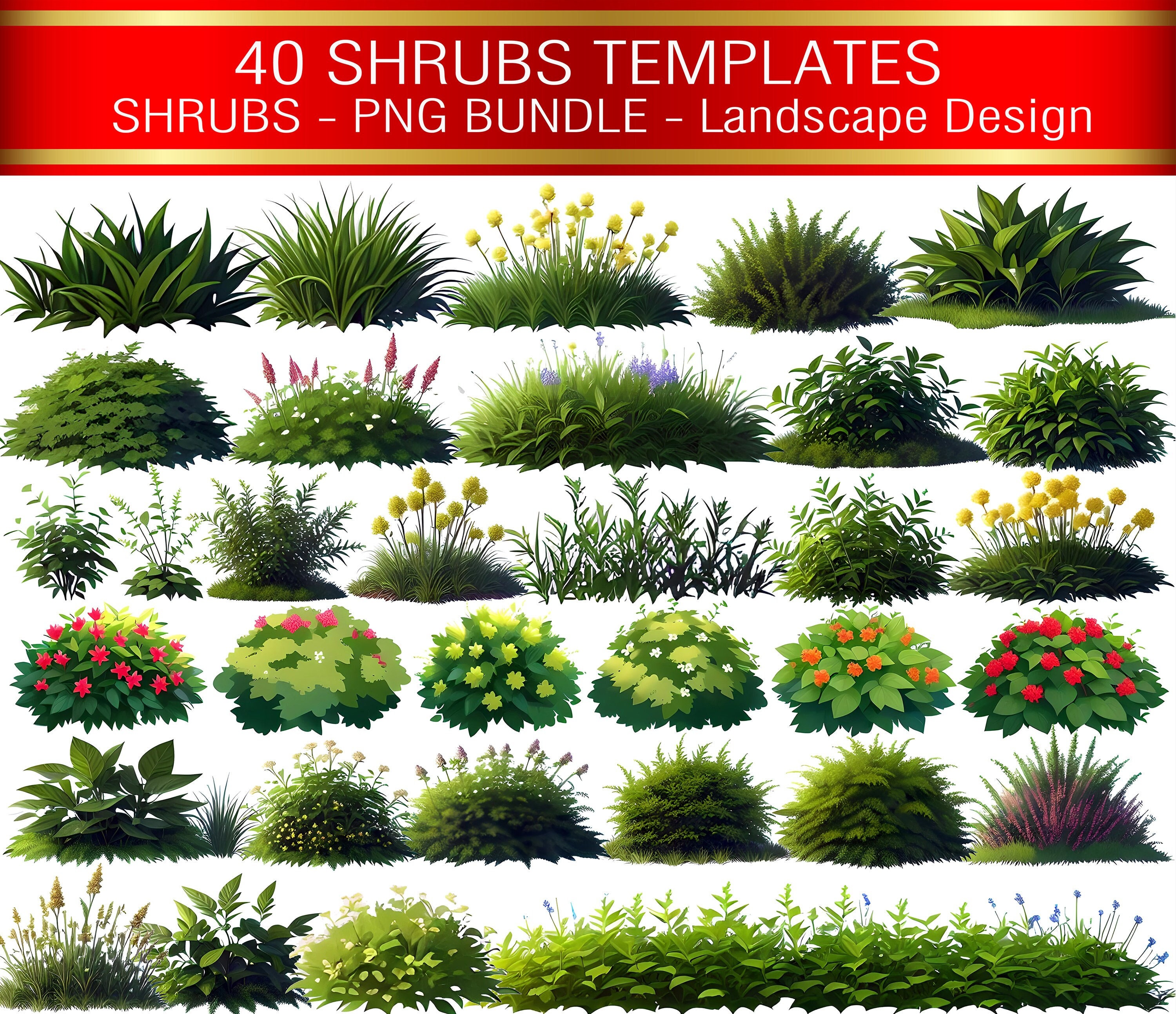 Collection of Shrubs, Bushes Clipart, Shrubs Digital Greenery, Summer ...