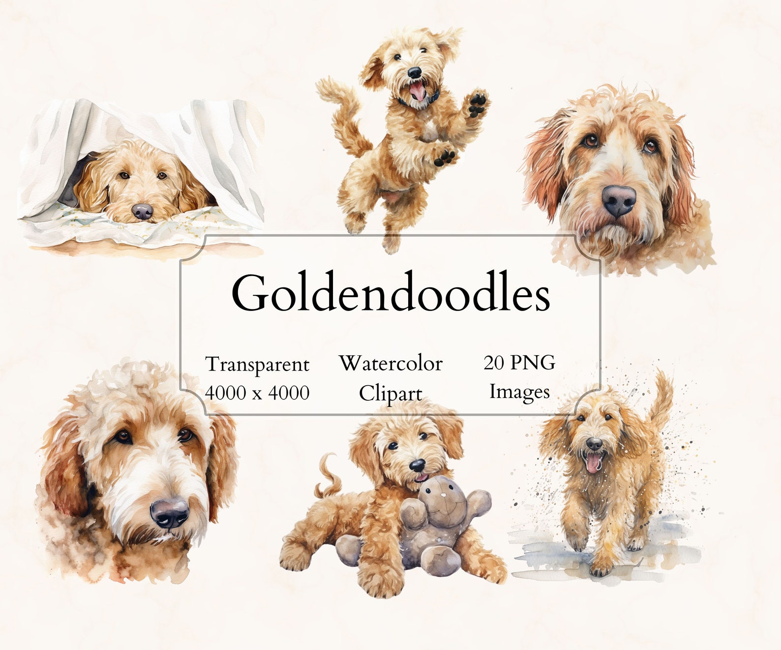 20 Cute Goldendoodle Watercolor Clipart PNG Files, Transparent ...