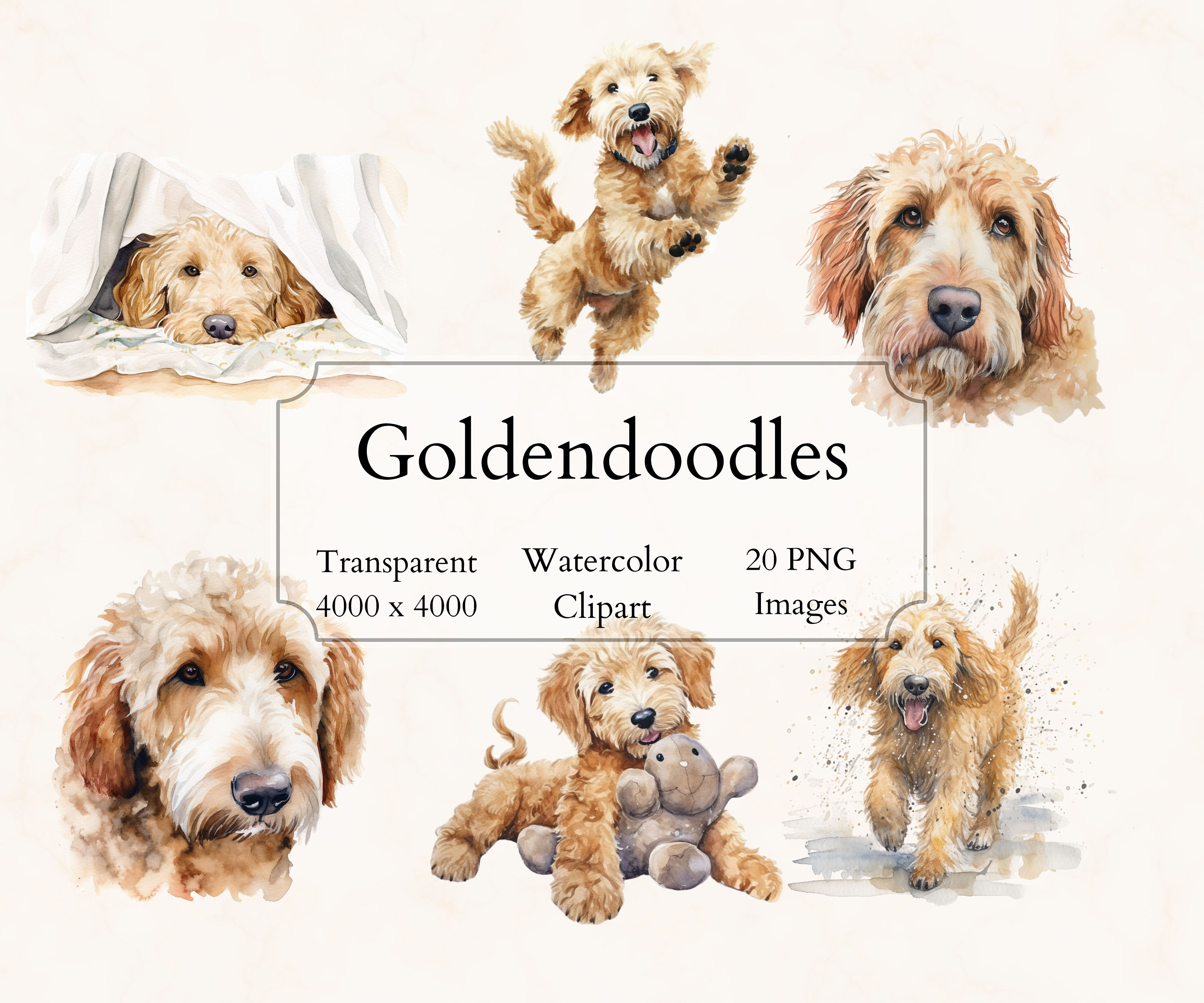 20 Cute Goldendoodle Watercolor Clipart PNG Files, Transparent ...