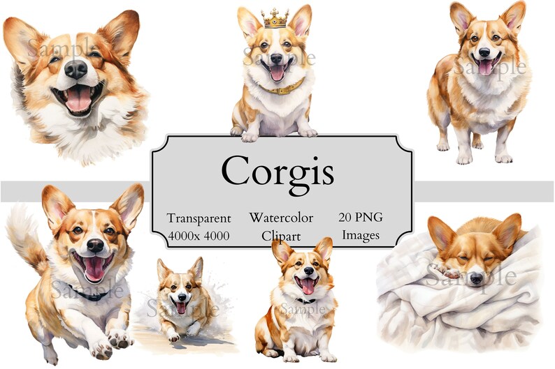 20 Cute Corgi Watercolor Clipart PNG Files, Transparent Corgi Clipart ...