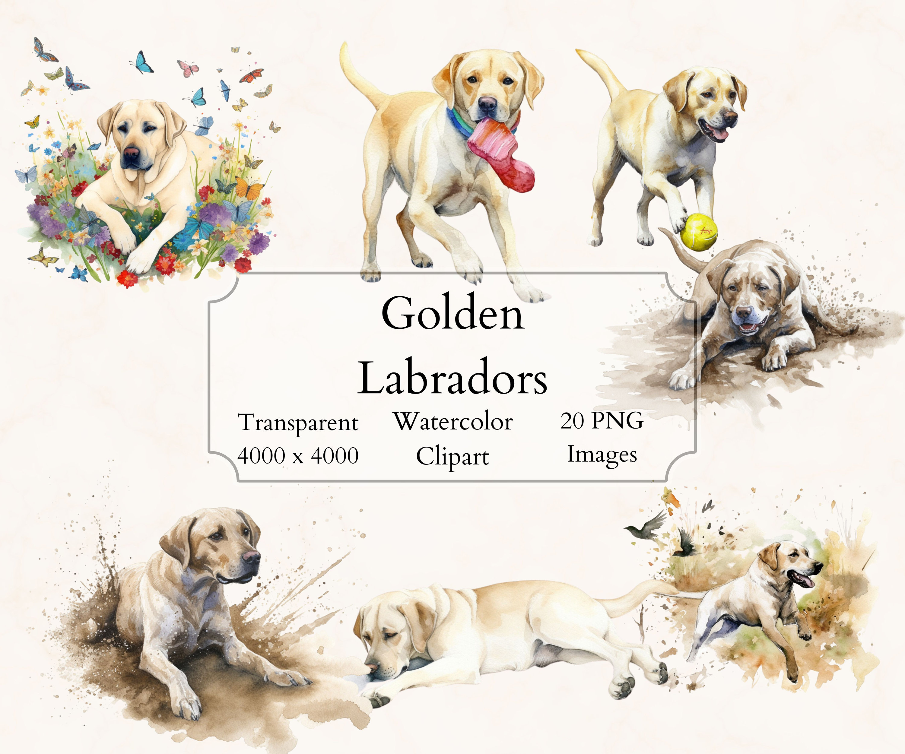 20 Cute Golden Labrador Watercolor Clipart PNG Files, Transparent ...
