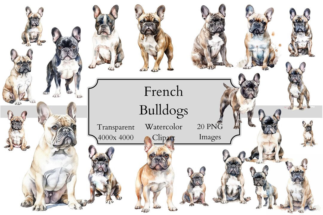 20 Cute French Bulldog Watercolor Clipart PNG Files, Transparent French ...