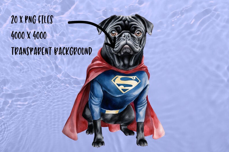 20 Cute Black Pug Watercolor Clipart PNG Files, Transparent Pugs ...