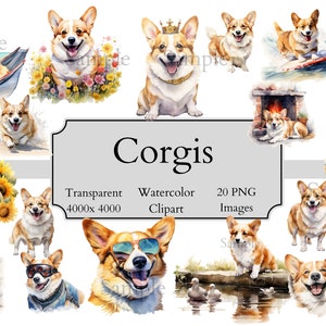 20 Cute Corgi Watercolor Clipart PNG Files, Transparent Corgi Clipart ...