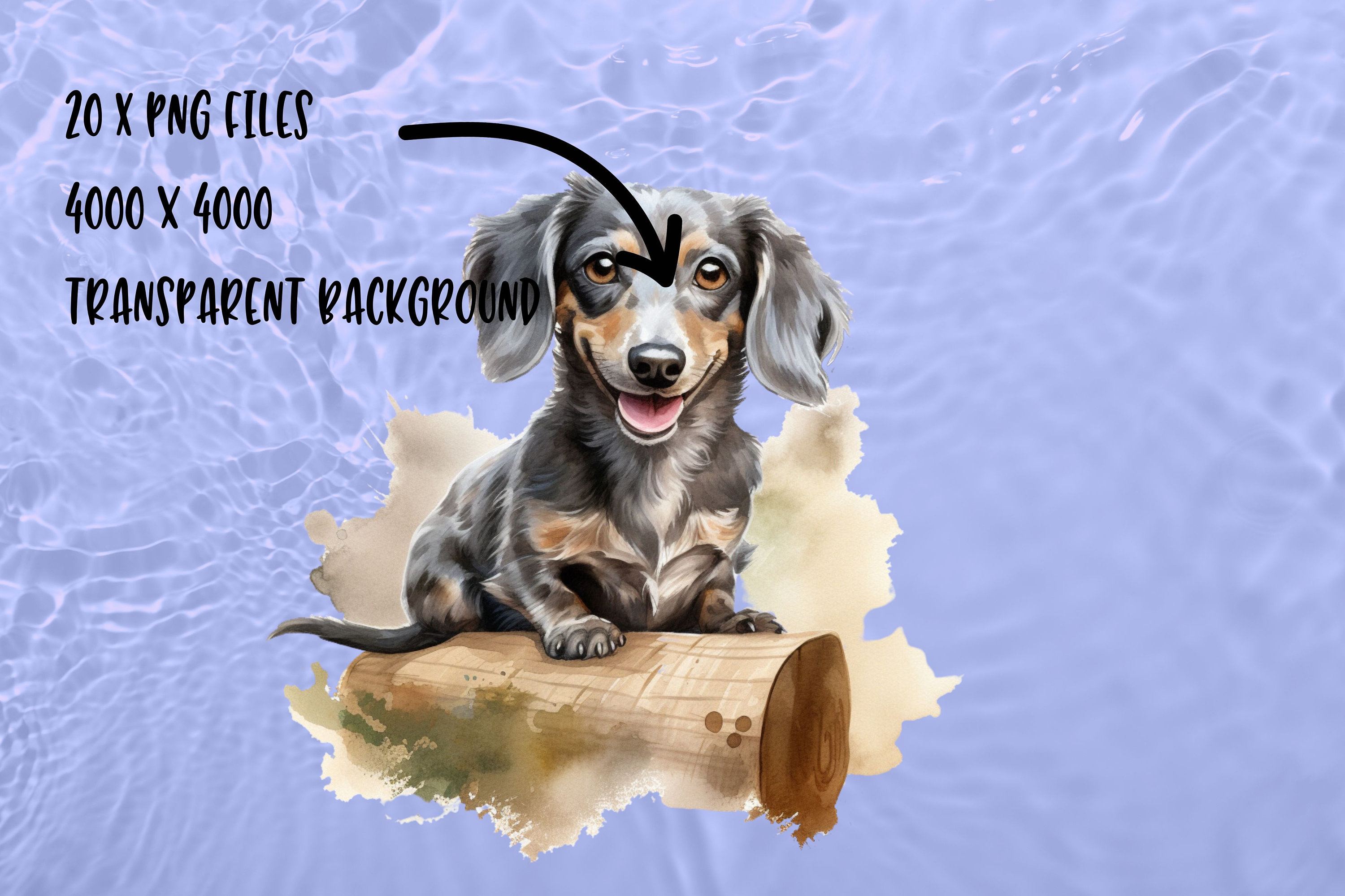 20 Cute Tri Colored Dachshund Watercolor Clipart PNG Files, Transparent ...