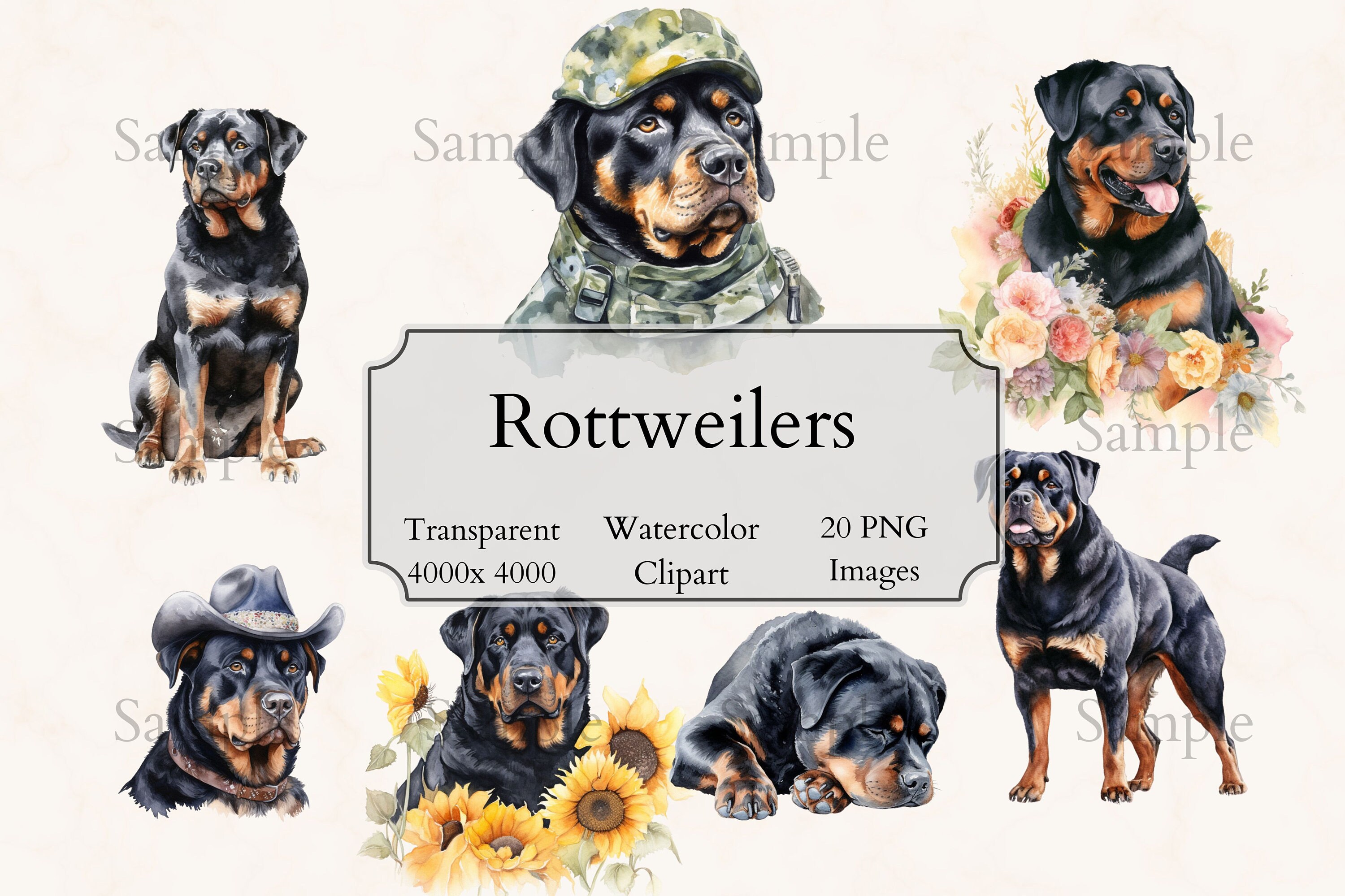 20 Cute Rottweiler Watercolor Clipart PNG Files, Transparent Rottweiler ...