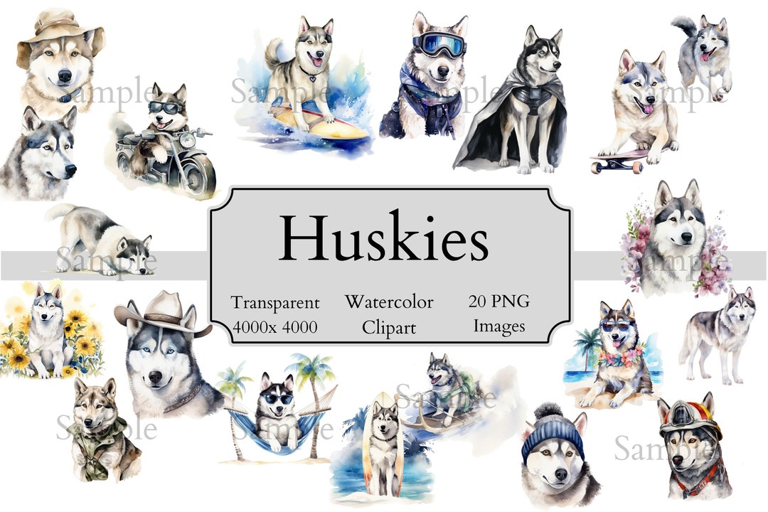 20 Cute Siberian Huskies Watercolor Clipart PNG Files, Transparent ...