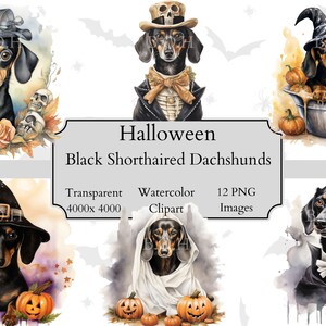 12 Halloween Themed Dachshund Watercolor Clipart PNG Files, Transparent ...