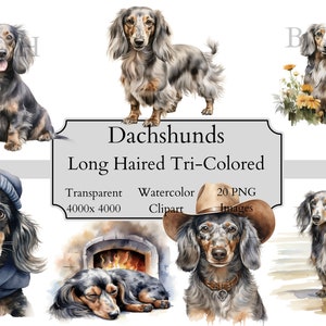 20 Cute Tri Colored Dachshund Watercolor Clipart PNG Files, Transparent ...