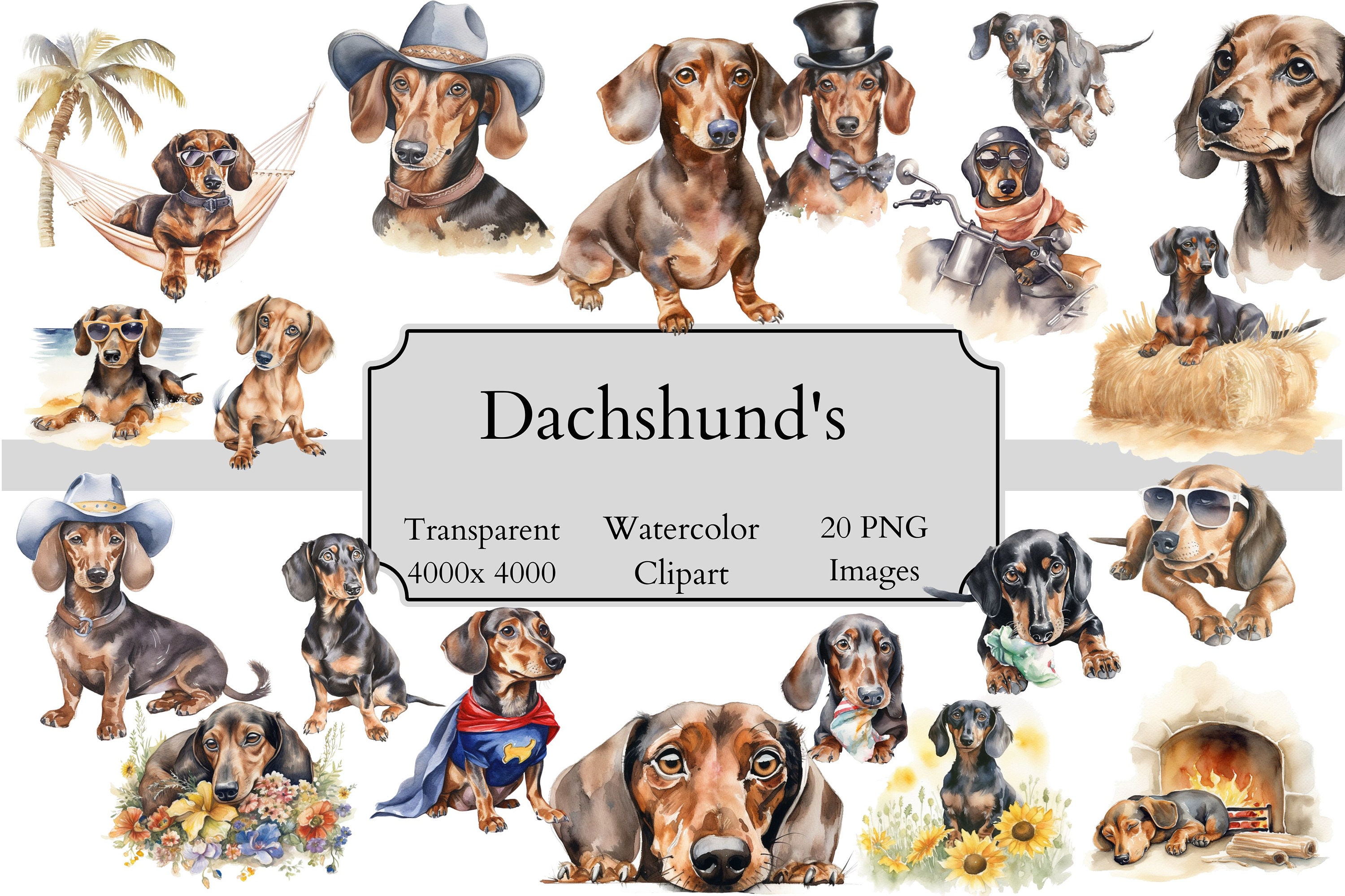 20 Cute Dachshund Watercolor Clipart PNG Files, Transparent Dachshund ...