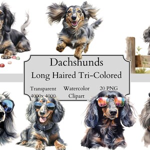 20 Cute Tri Colored Dachshund Watercolor Clipart PNG Files, Transparent ...