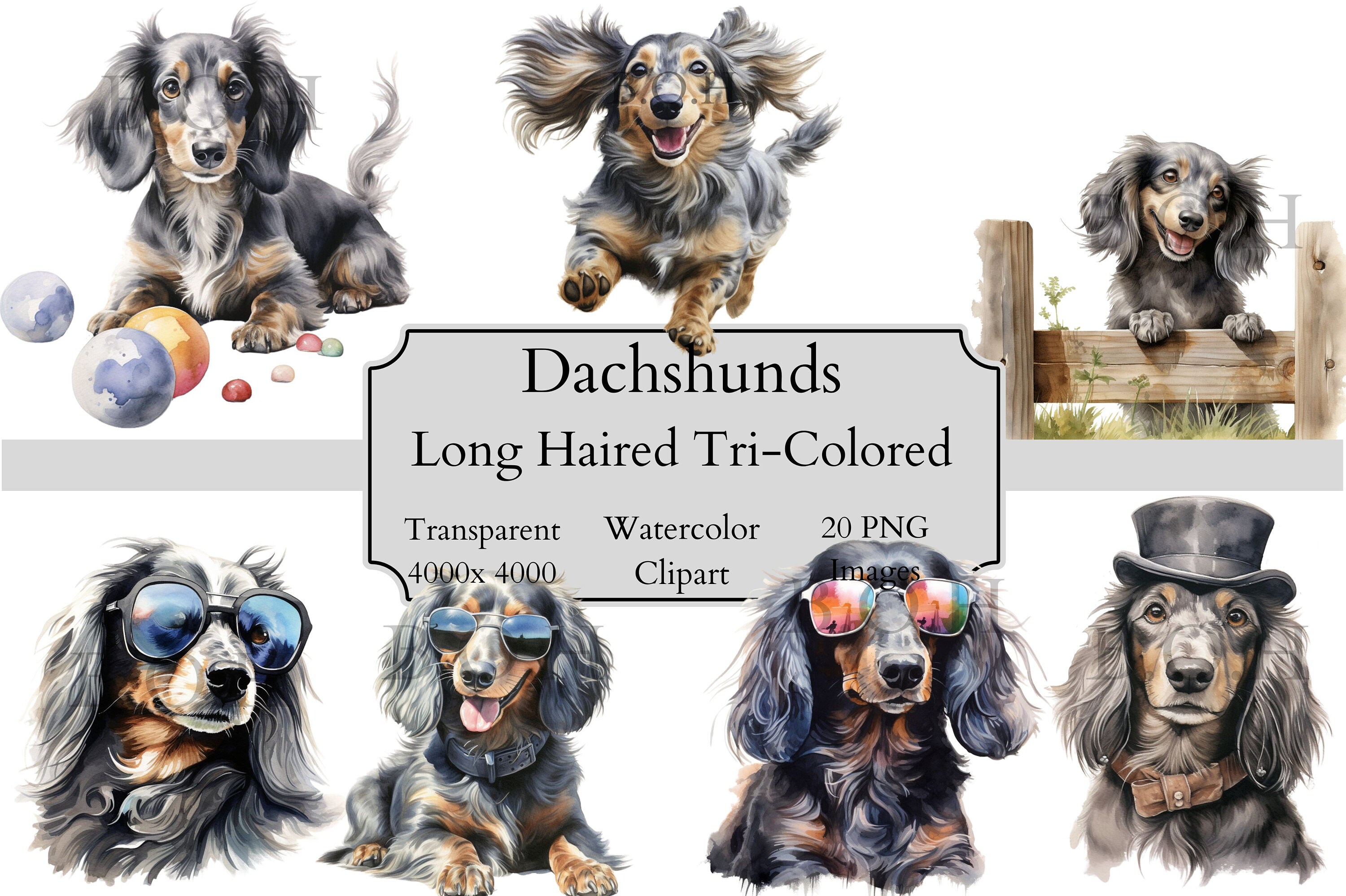 20 Cute Tri Colored Dachshund Watercolor Clipart PNG Files, Transparent ...