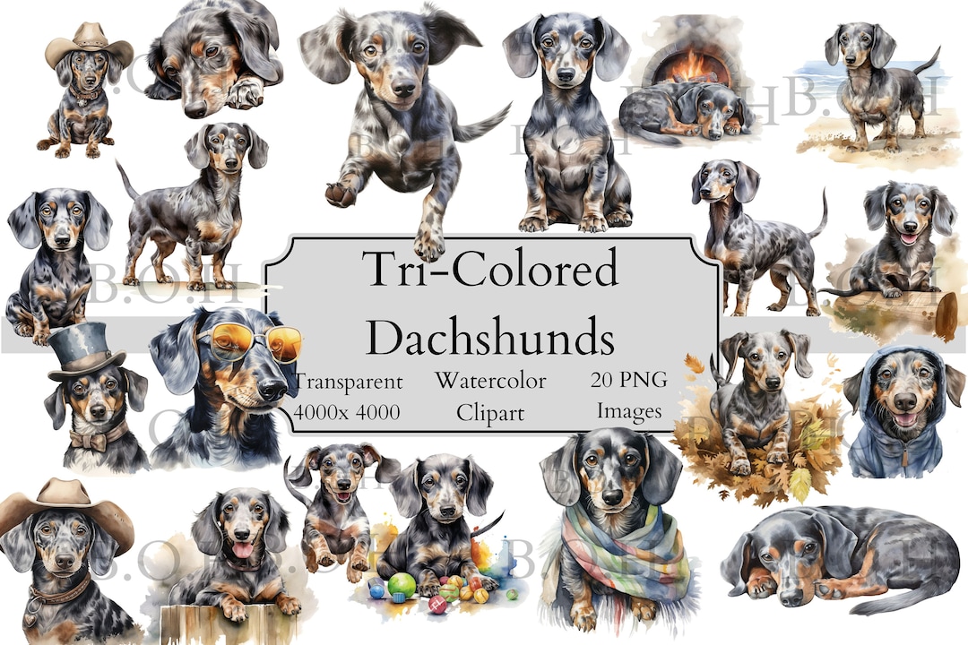 20 Cute Tri Colored Dachshund Watercolor Clipart PNG Files, Transparent ...