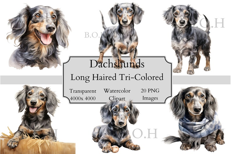 20 Cute Tri Colored Dachshund Watercolor Clipart PNG Files, Transparent ...