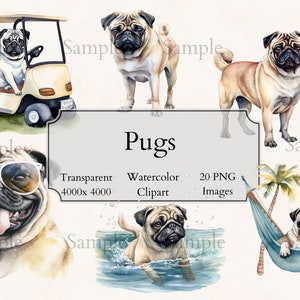 20 Cute Pug Watercolor Clipart PNG Files, Transparent Pugs Clipart ...