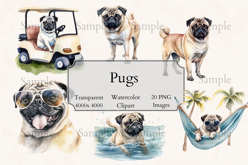20 Cute Pug Watercolor Clipart PNG Files, Transparent Pugs Clipart ...