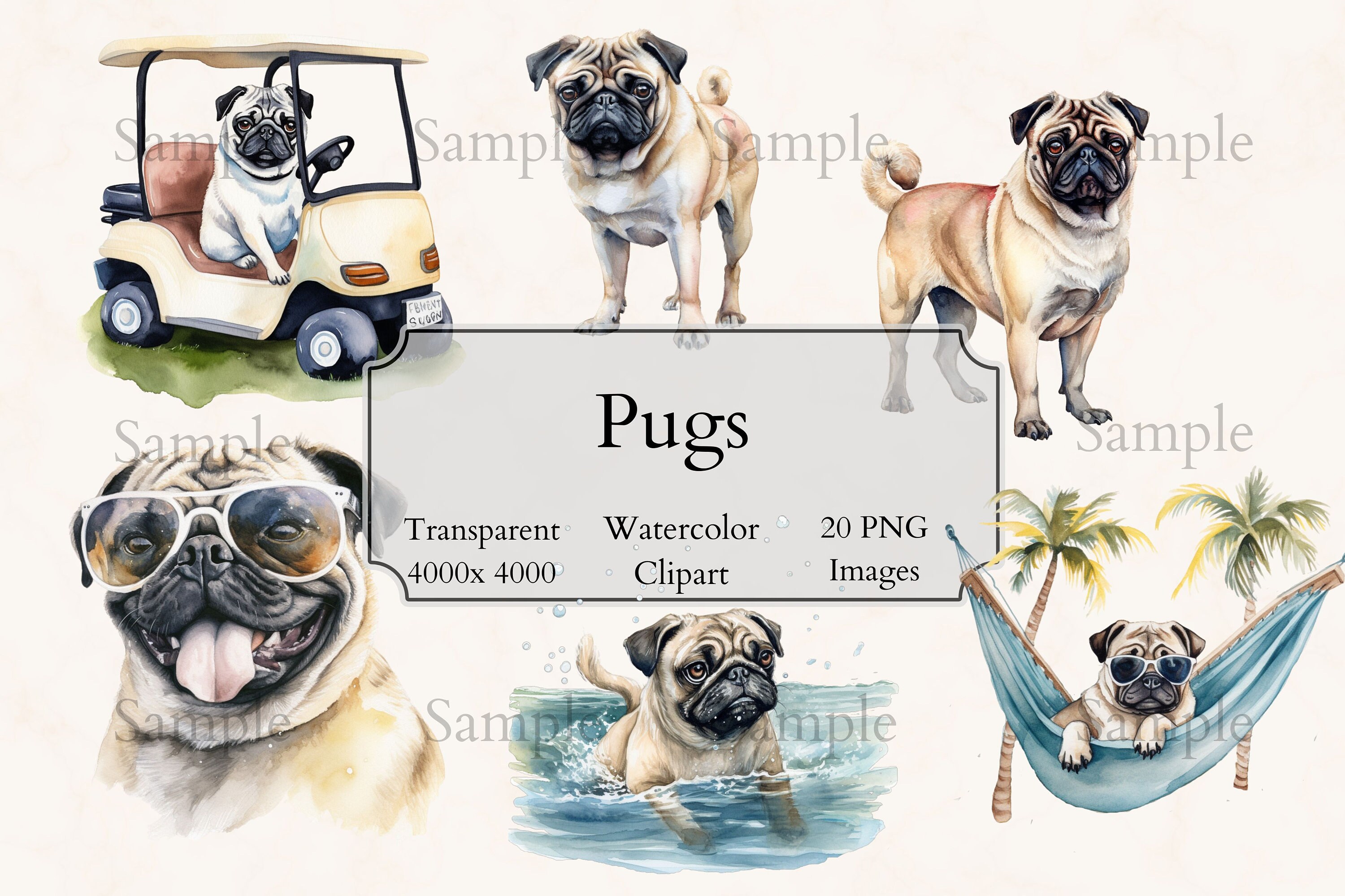 20 Cute Pug Watercolor Clipart PNG Files, Transparent Pugs Clipart ...