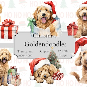 12 Christmas Goldendoodle Watercolor Clipart PNG Files, Transparent ...
