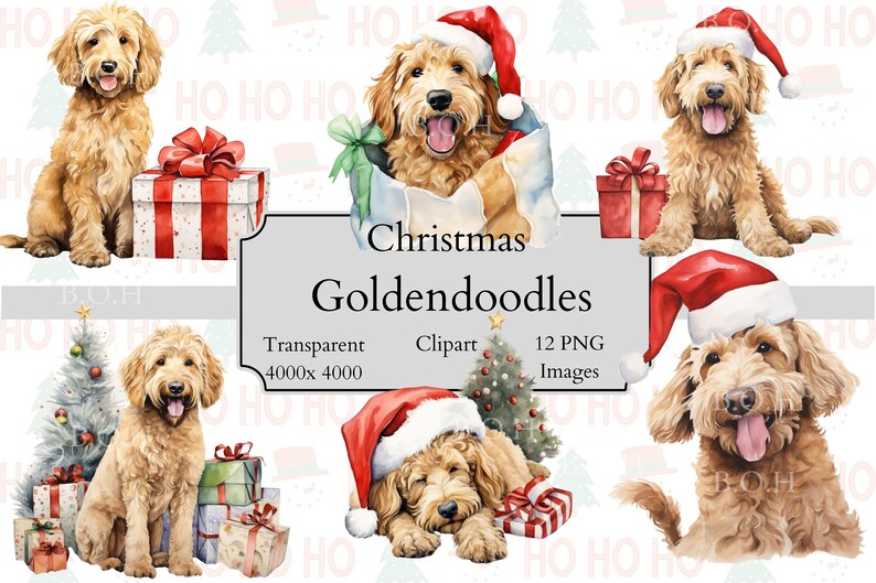 12 Christmas Goldendoodle Watercolor Clipart PNG Files, Transparent ...