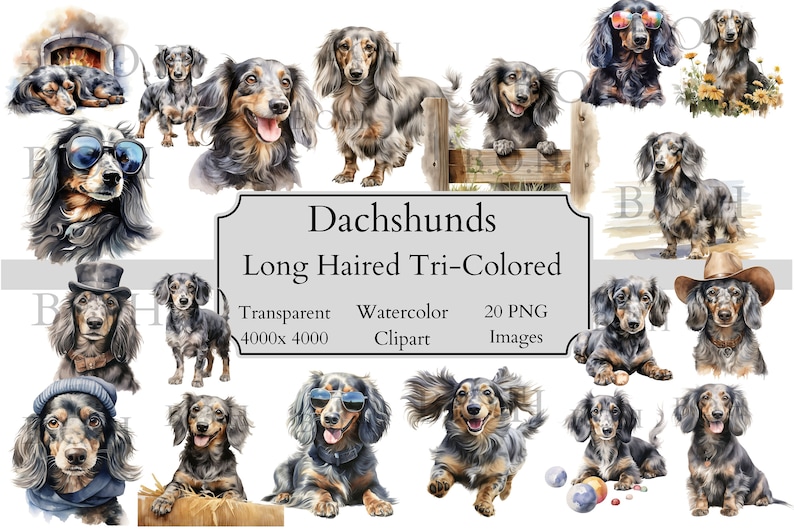 20 Cute Tri Colored Dachshund Watercolor Clipart PNG Files, Transparent ...