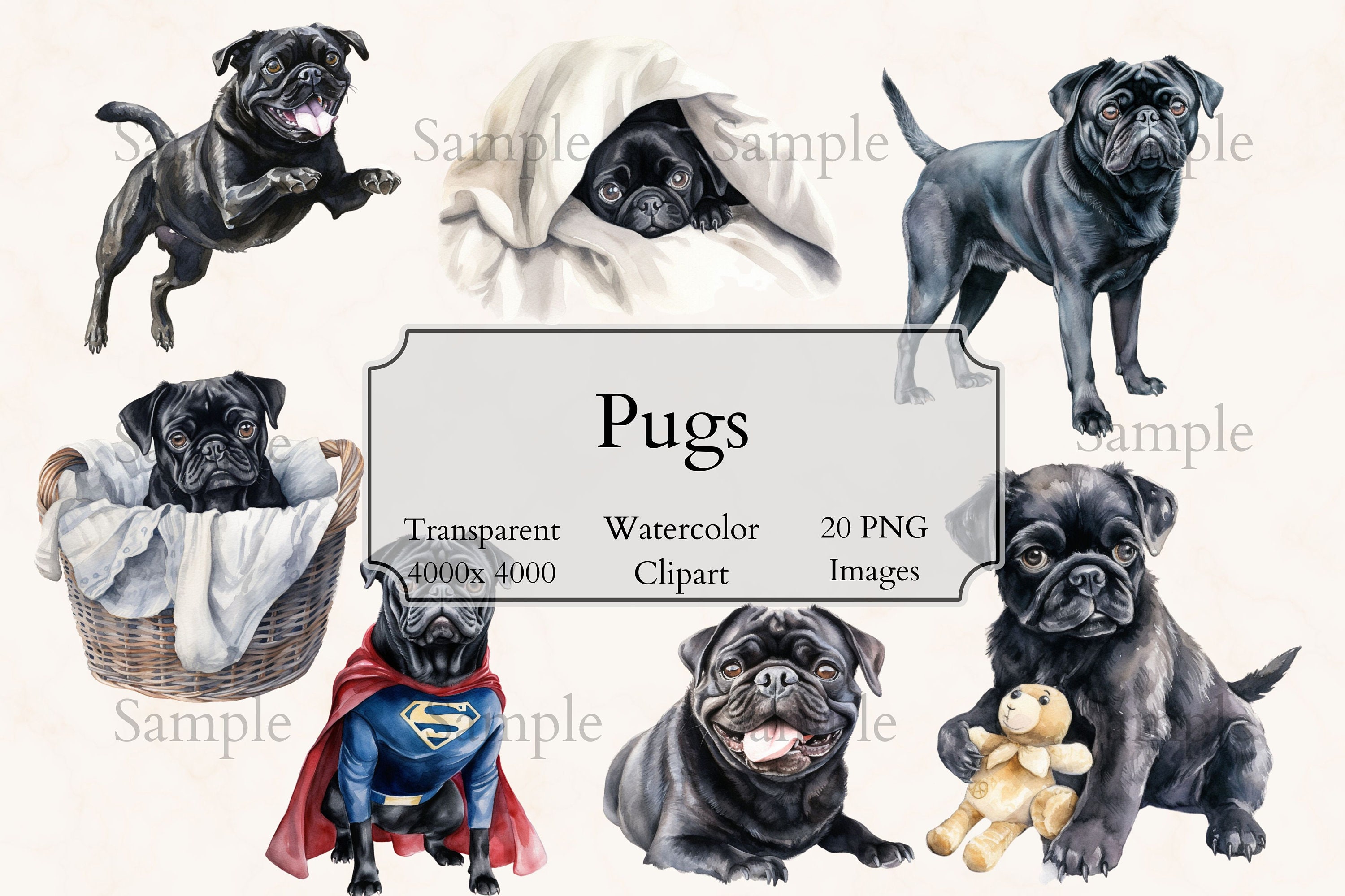 20 Cute Black Pug Watercolor Clipart PNG Files, Transparent Pugs ...